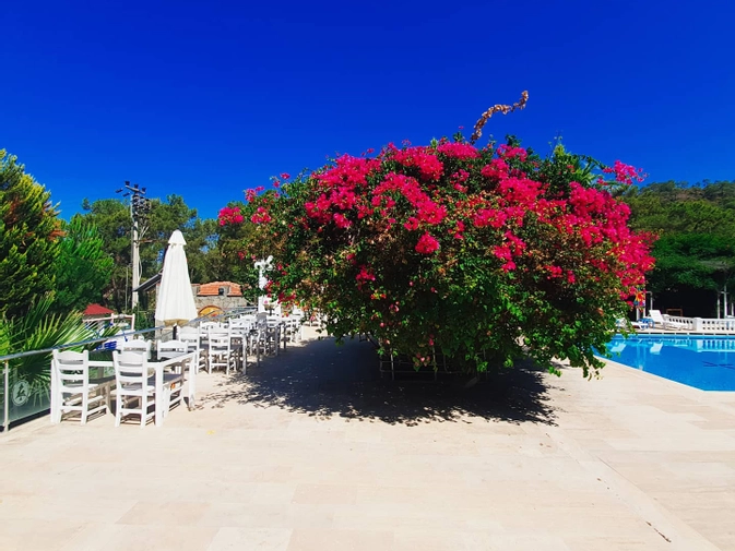 Silver Pine Hotel - Muğla , Fethiye | Gezinomi